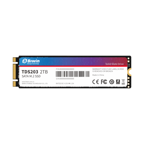 SSD - BIWIN